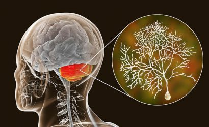 Güncel Bilgiler - Bilgin Var mı